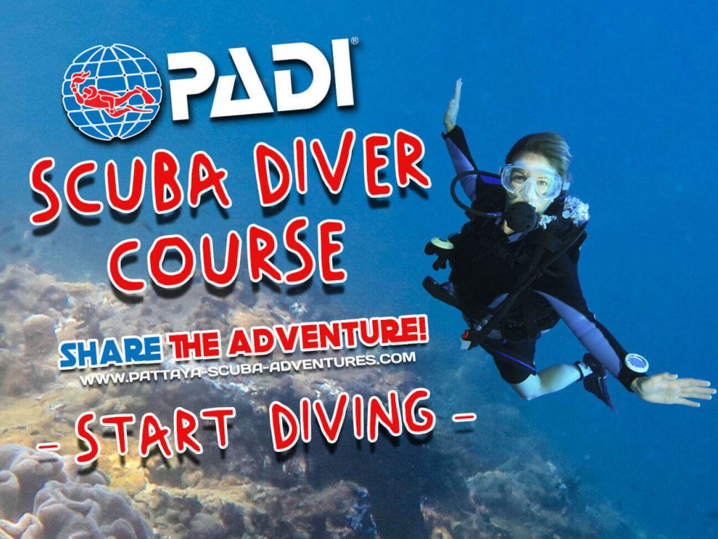 PADI Dive Courses | Pattaya Scuba Adventures Thailand