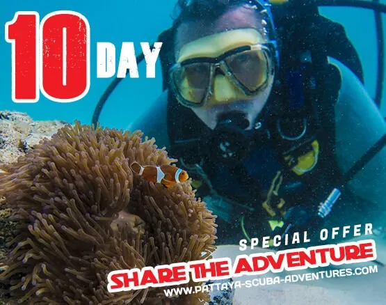 10 Day Dive Package Pattaya Scuba Adventures Thailand