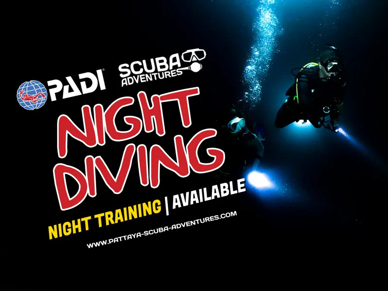 Night Diving Pattaya | Join The Darkside With Scuba Adventures
