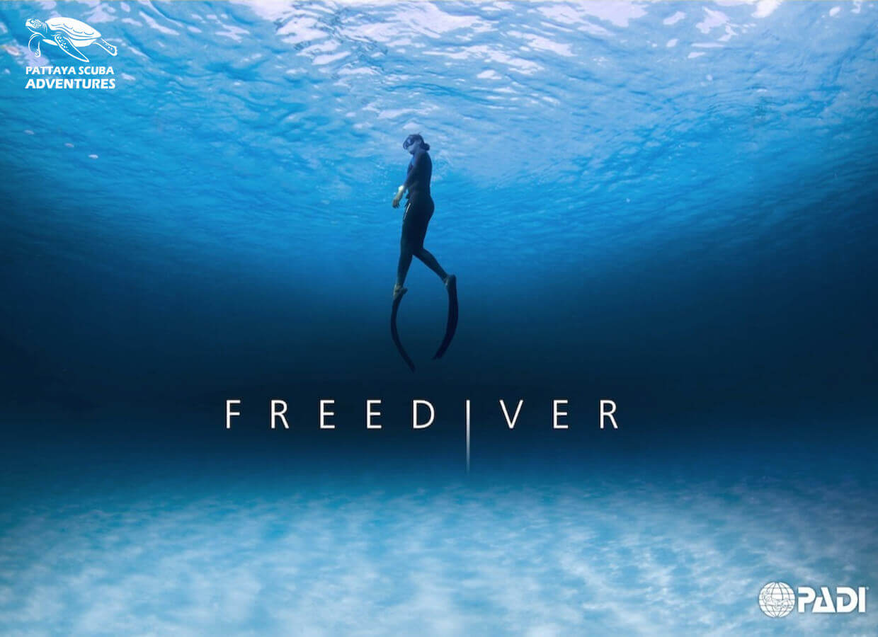 PADI Freediving Thailand | Pattaya Scuba Adventures