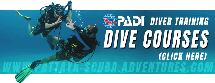 Scuba Adventures | PADI | SCUBA Diving in Pattaya Thailand