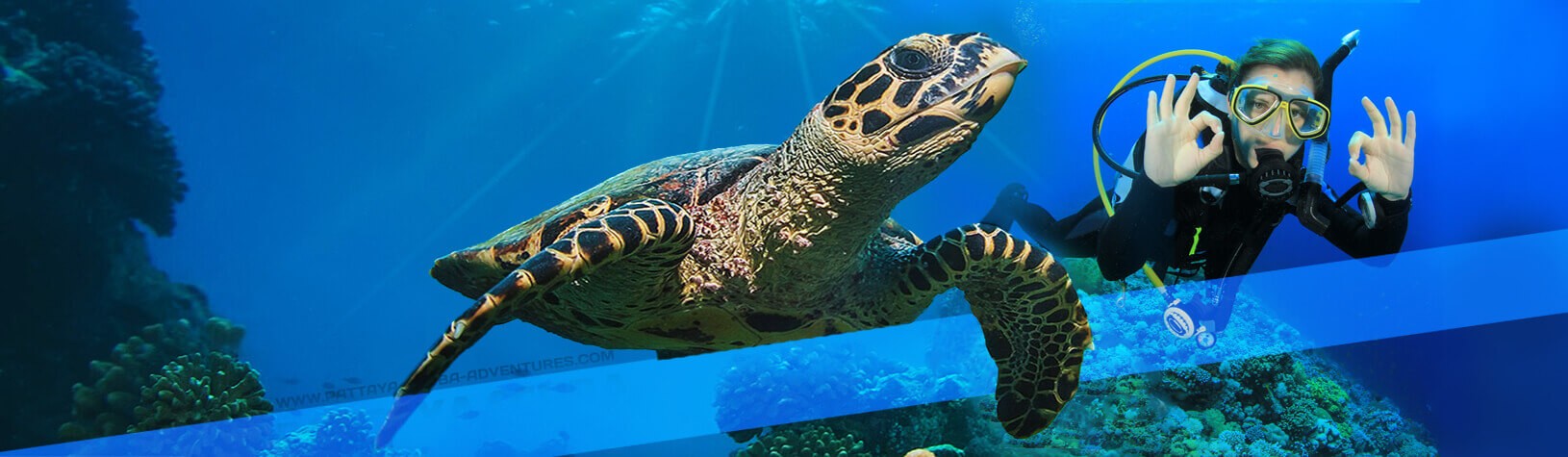 Scuba Adventures | PADI | SCUBA Diving in Pattaya Thailand