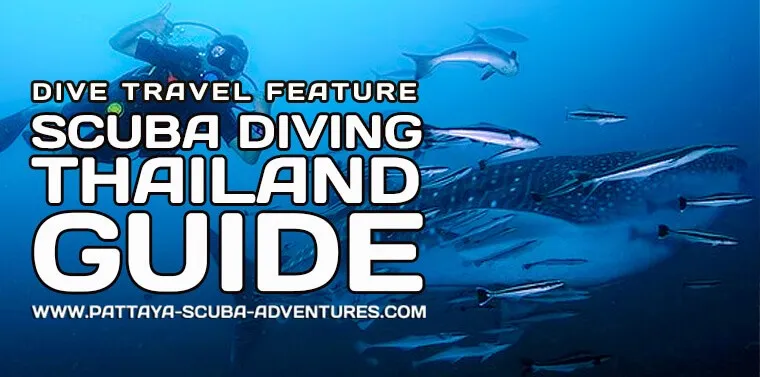 Pattaya Scuba Adventures | PADI | Scuba Diving in Thailand