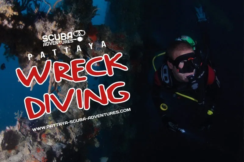 Diving in Pattaya Thailand | Dive Trips, Marine Life & More...