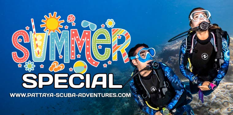 Summer Dive Specials | Pattaya Scuba Adventures PADI Dive Centre