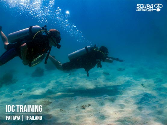 PADI Dive Instructor Course (IDC) | Pattaya Scuba Adventures PADI Dive Centre