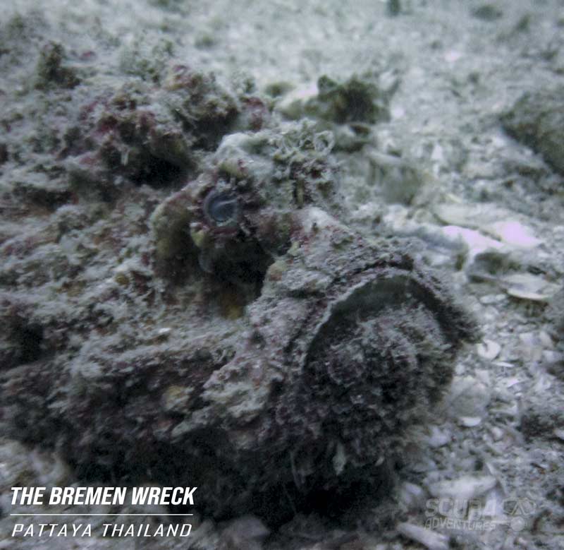 Exploring the Bremen Wreck: A Dive Adventure | Pattaya Scuba Adventures ...