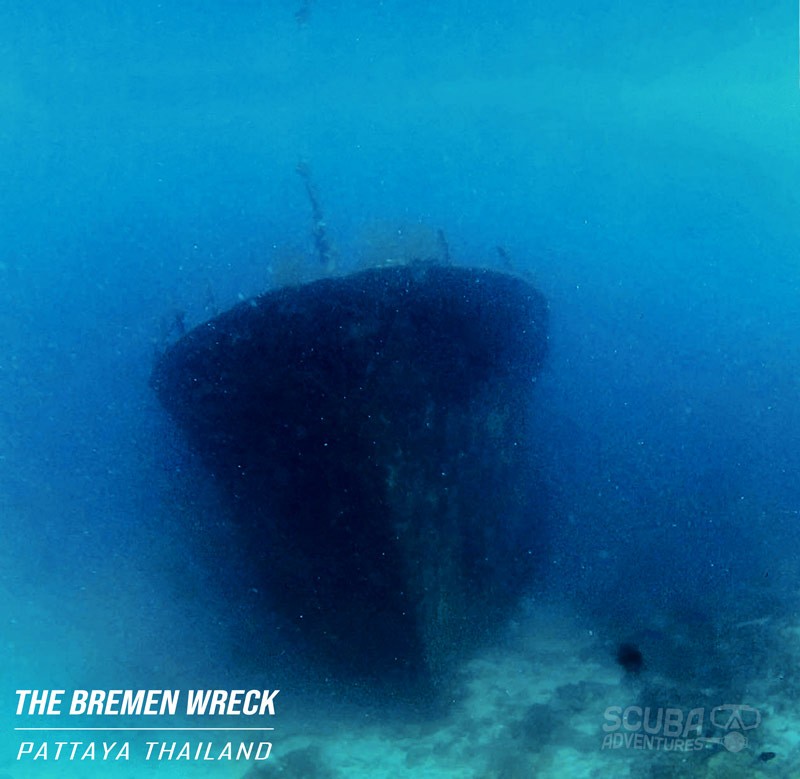 Things You Never Knew About Diving In Pattaya | Pattaya Scuba ...