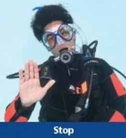 Scuba Diving Signals Every Diver Needs to Know | Pattaya Scuba ...