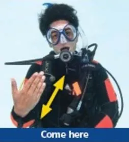 Scuba Diving Signals Every Diver Needs to Know | Pattaya Scuba ...