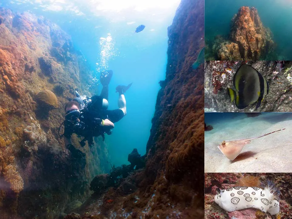 Koh Chuang | Samae San | Pattaya Dive Sites Guide Thailand