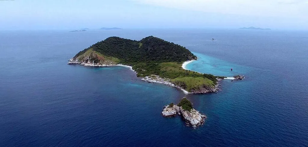 Pattaya Coral Guide | Pattaya Scuba Adventures PADI Dive Centre