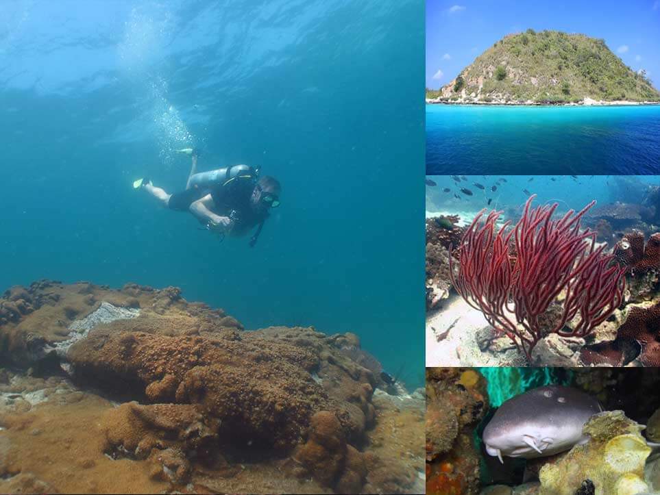 Koh Rin | Far Islands | Pattaya Dive Sites Guide Thailand