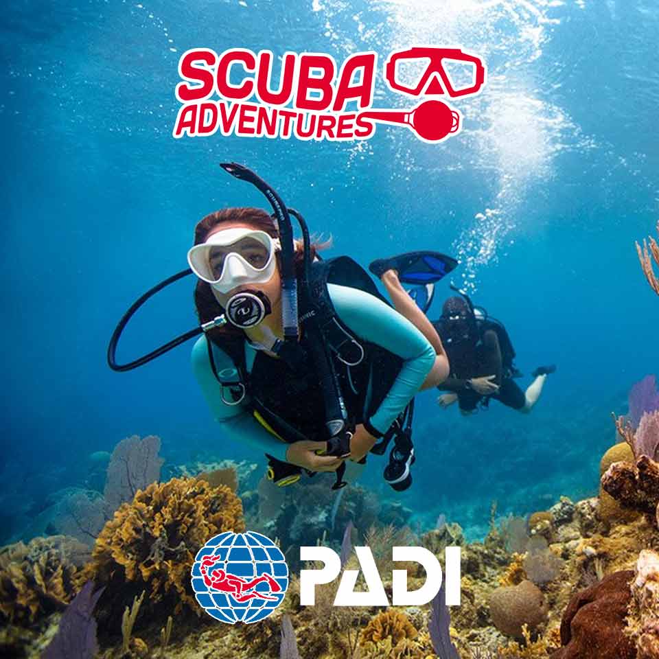 Pattaya Scuba Adventures | PADI | Scuba Diving in Thailand