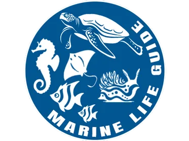 Learn Marine Life Diving Hand Signals | Pattaya Scuba Adventures PADI ...