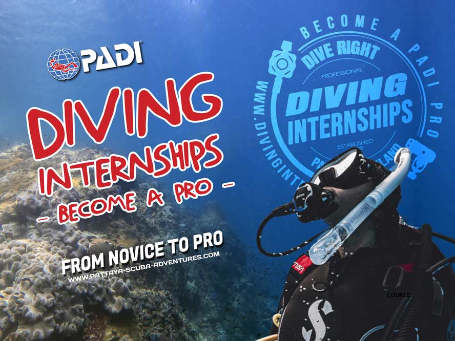 Pattaya Scuba Adventures PADI Diving Internships in Thailand
